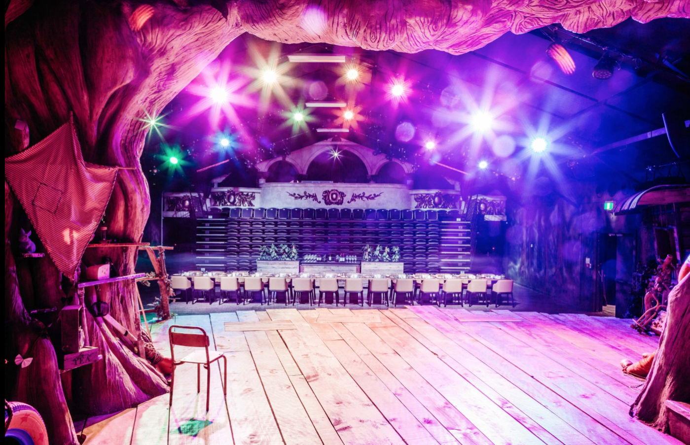 Musical Performances for Kids - Auckland | Whoa Studios